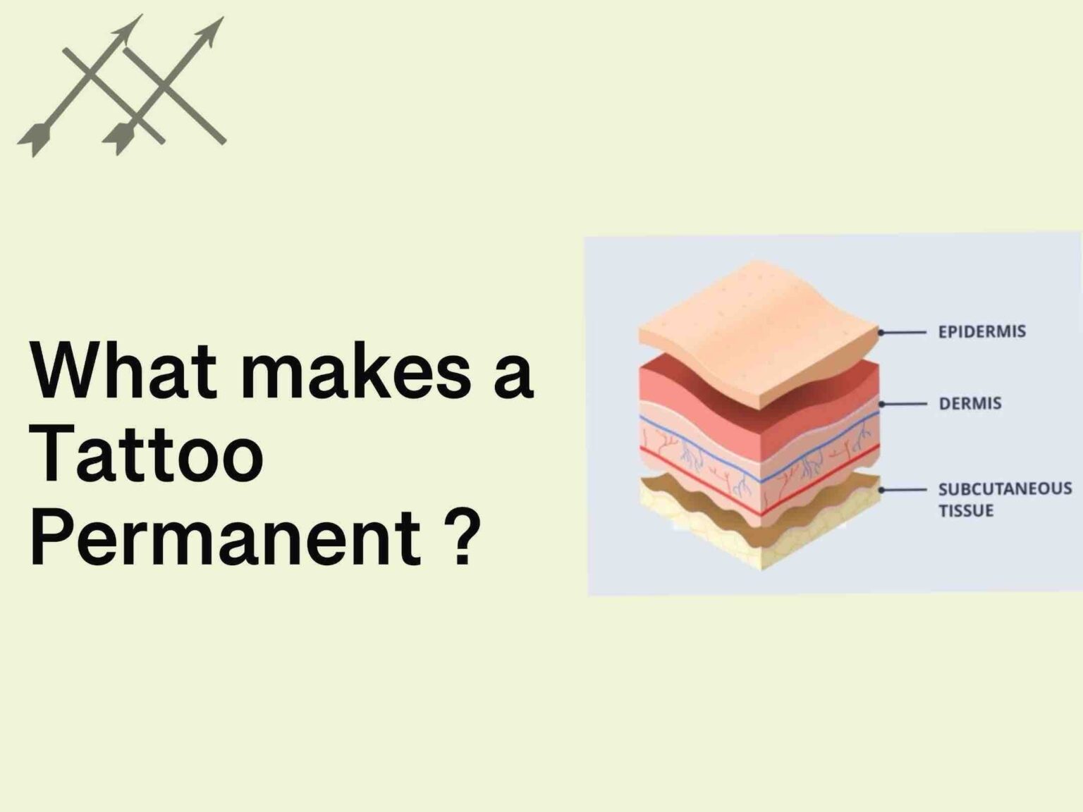 What makes your tattoo permanent? - Machu Tattoo Studio